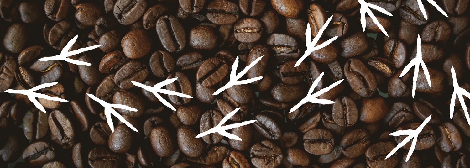 RABBIT DASH INC. – Rabbit Dash Inc